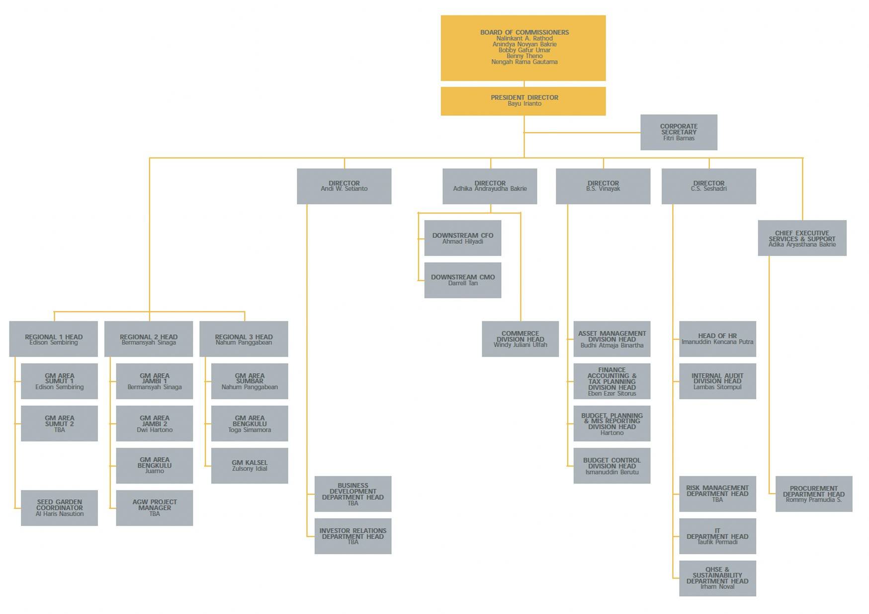 Organizational Structure